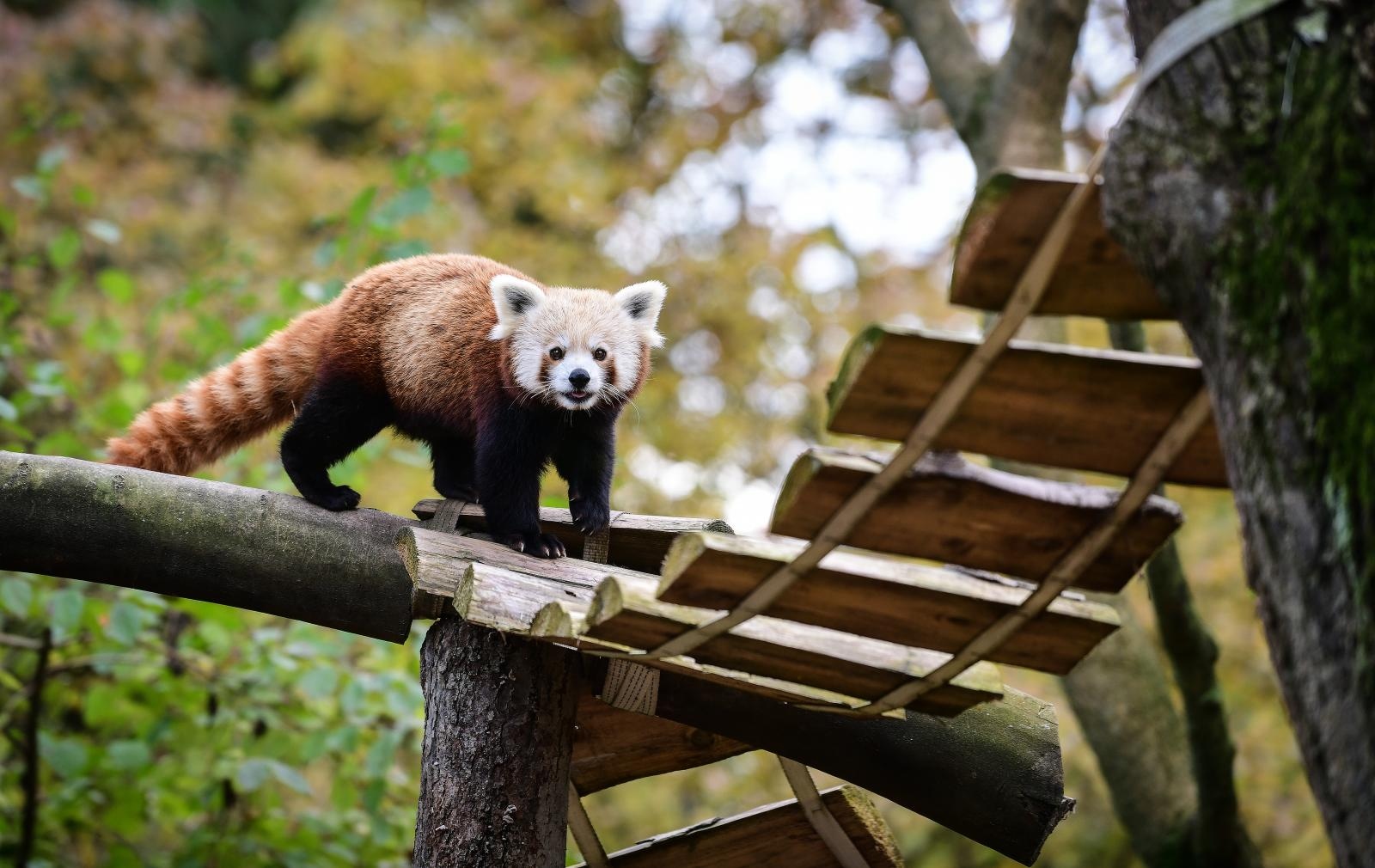 Zoološki vrt zatvorio svoja vrata » 01Portal - Prvi u Zagrebačkoj županiji