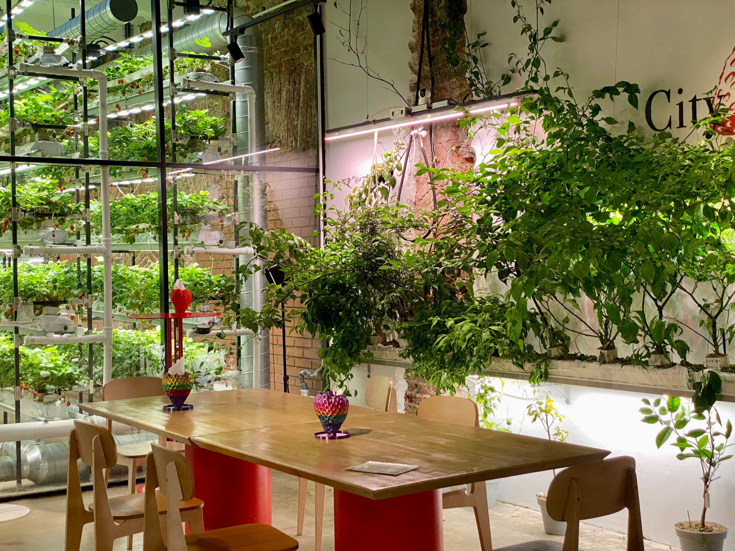 Kako napraviti mini-vertikalni vrt u stanu: Zelena oaza u malom prostoru | 01Portal